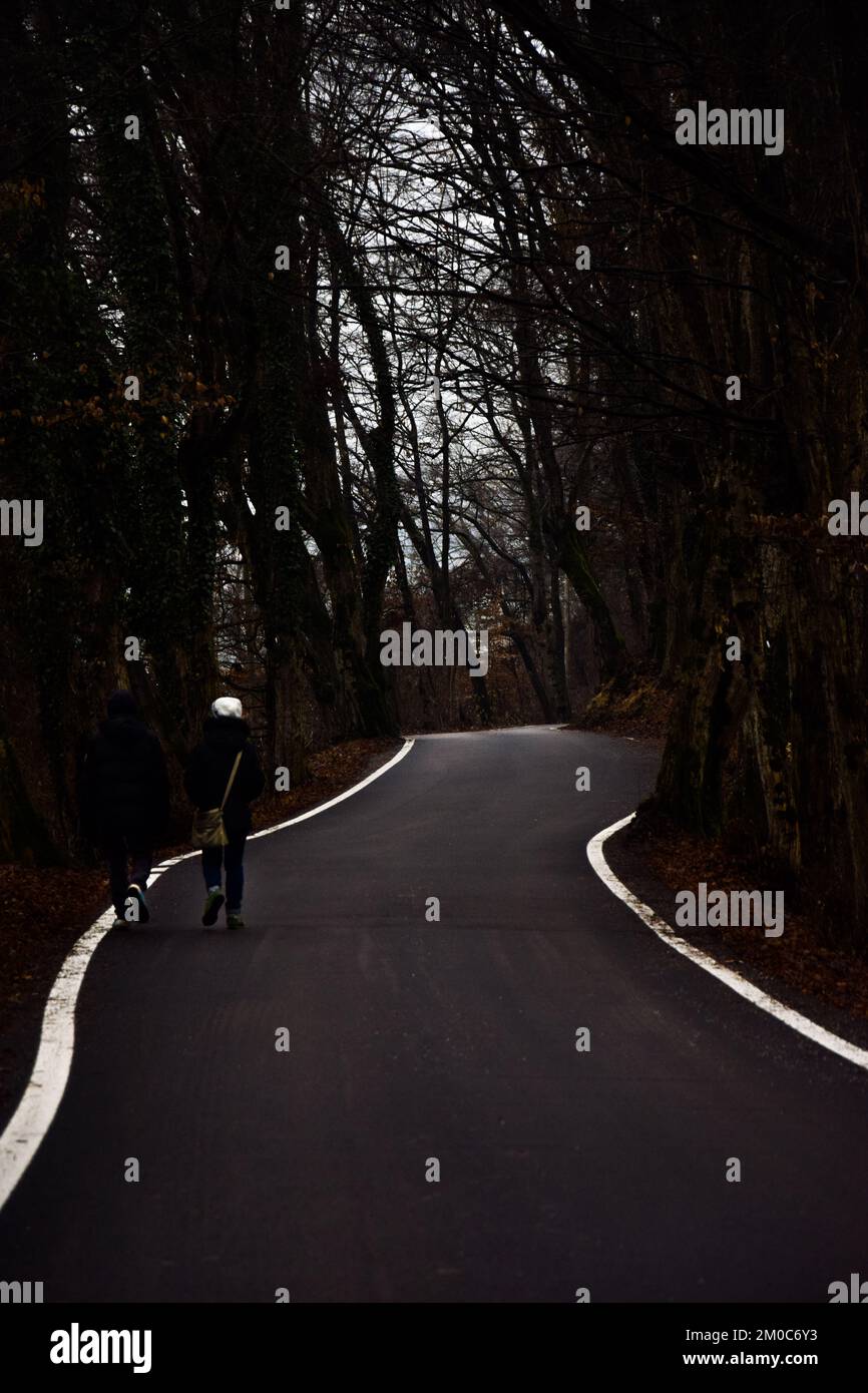 The rear view of people walking on a road Stock Photo - Alamy