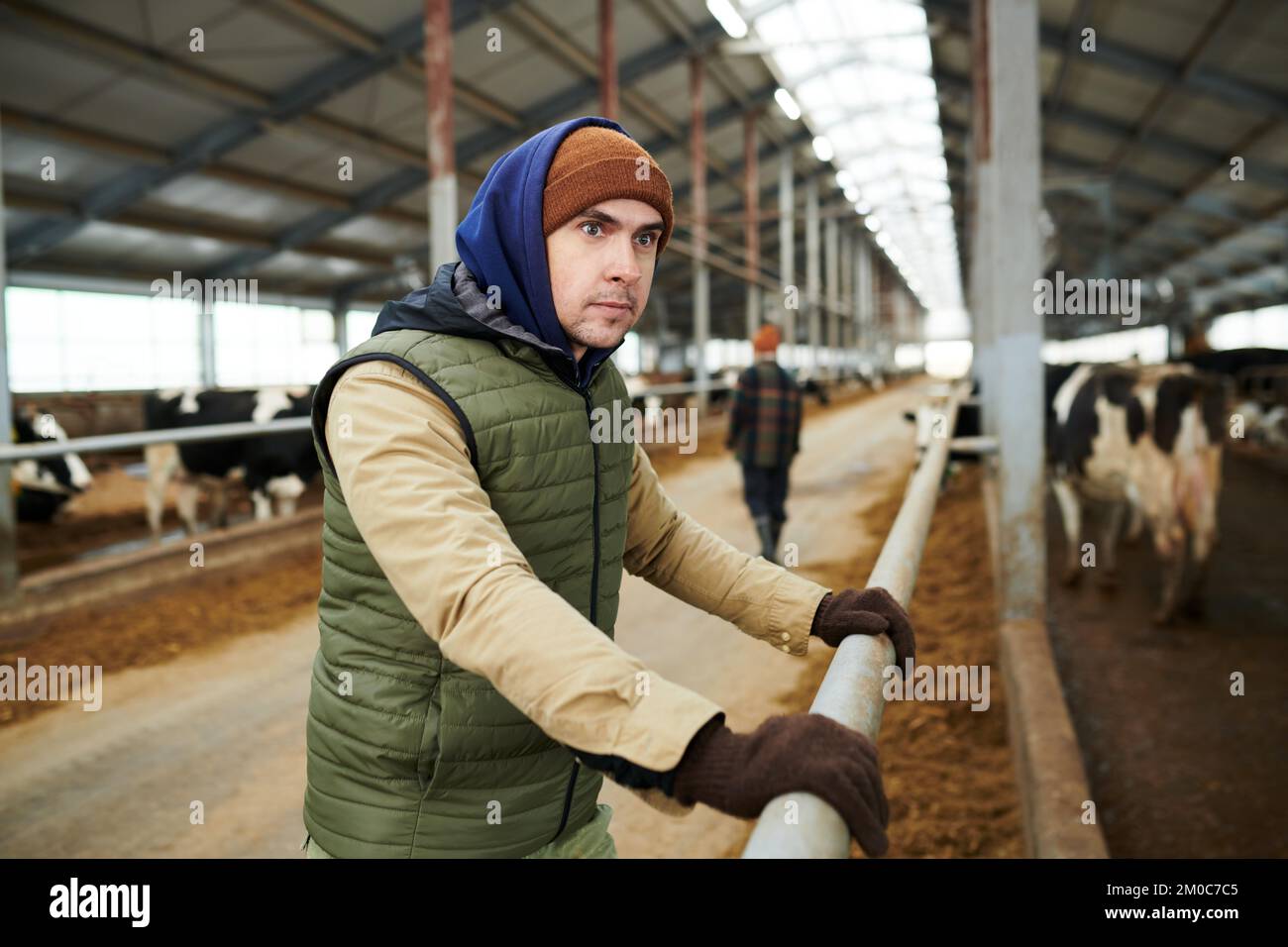 Young serious male worker of cowfarm in workwear holding by railings of ...