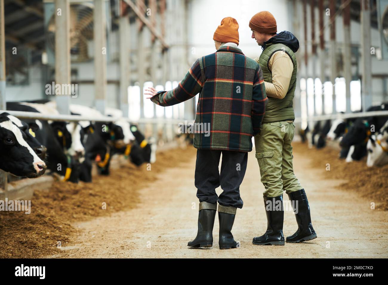 Rear view of young male and female workers of cowfarm in workwear ...