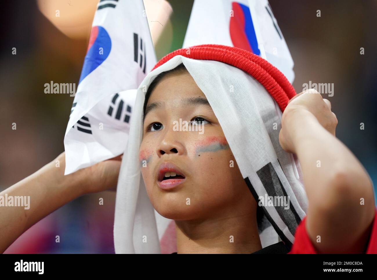 A South Korea fan in the stands reacts during the FIFA World Cup Round ...