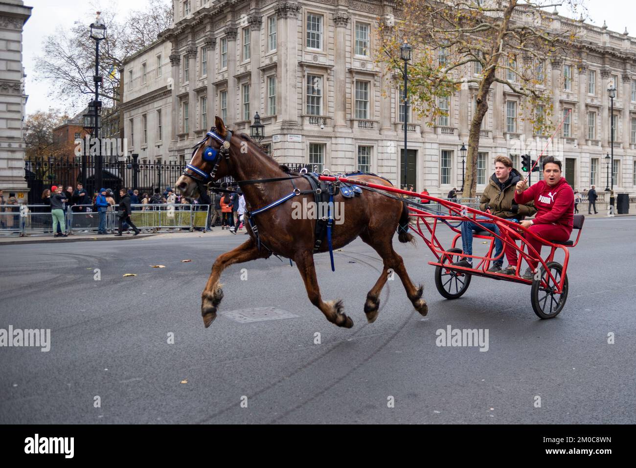 Event titled the London Christmas Horse Drive of Gypsies, Travellers ...