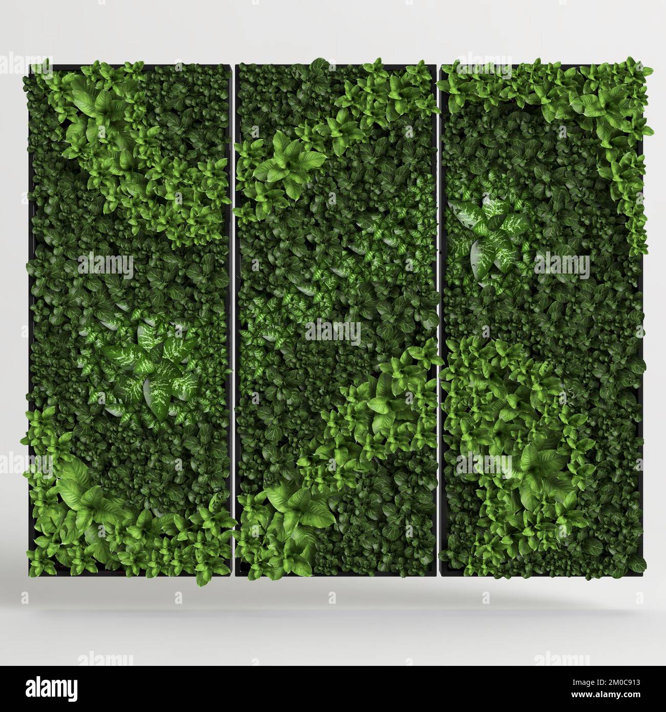 3d illustration of wall tree isolated on white background Stock Photo ...