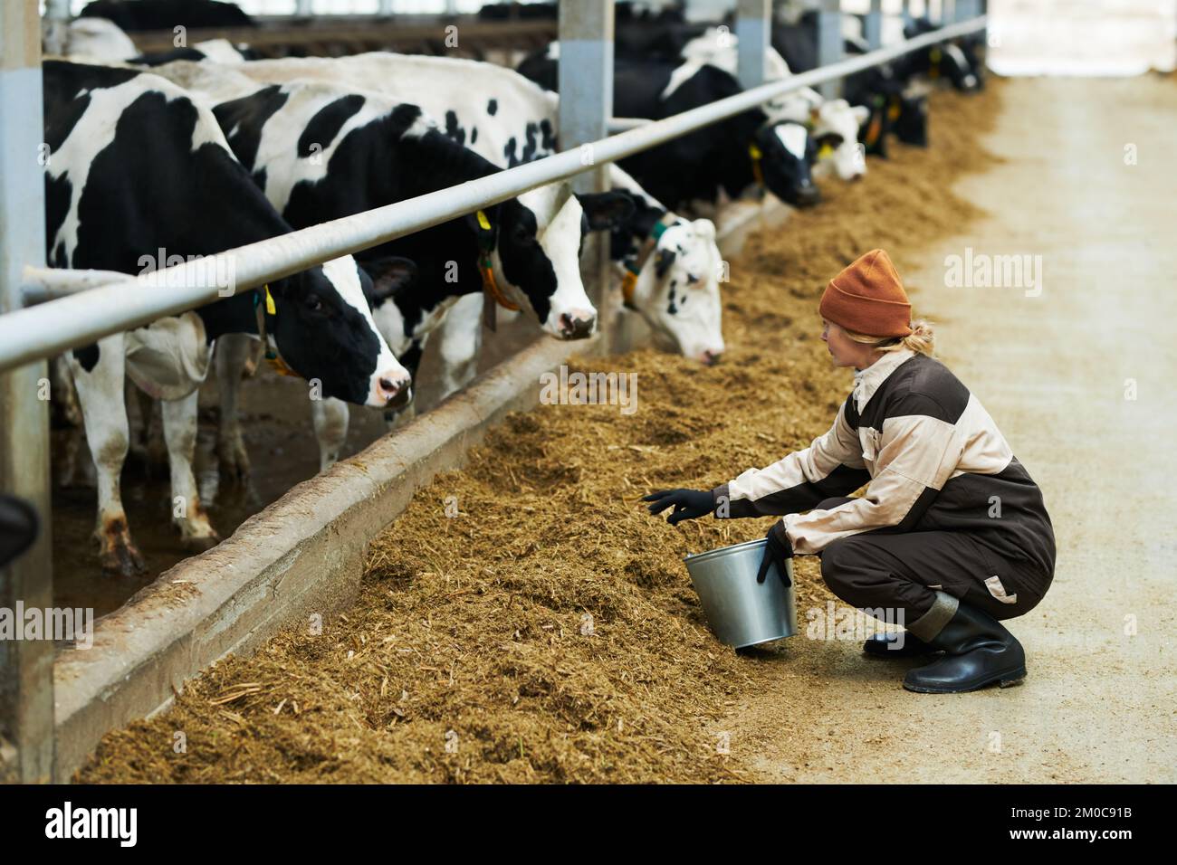 Young woman with bucket full of fresh forge sitting on squats in front ...