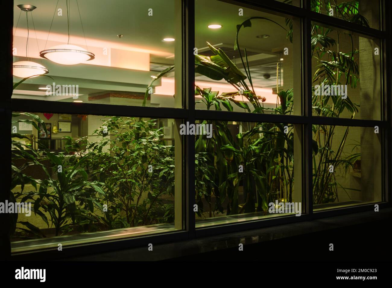 An outside view of a building with lots of green plants in the evening ...