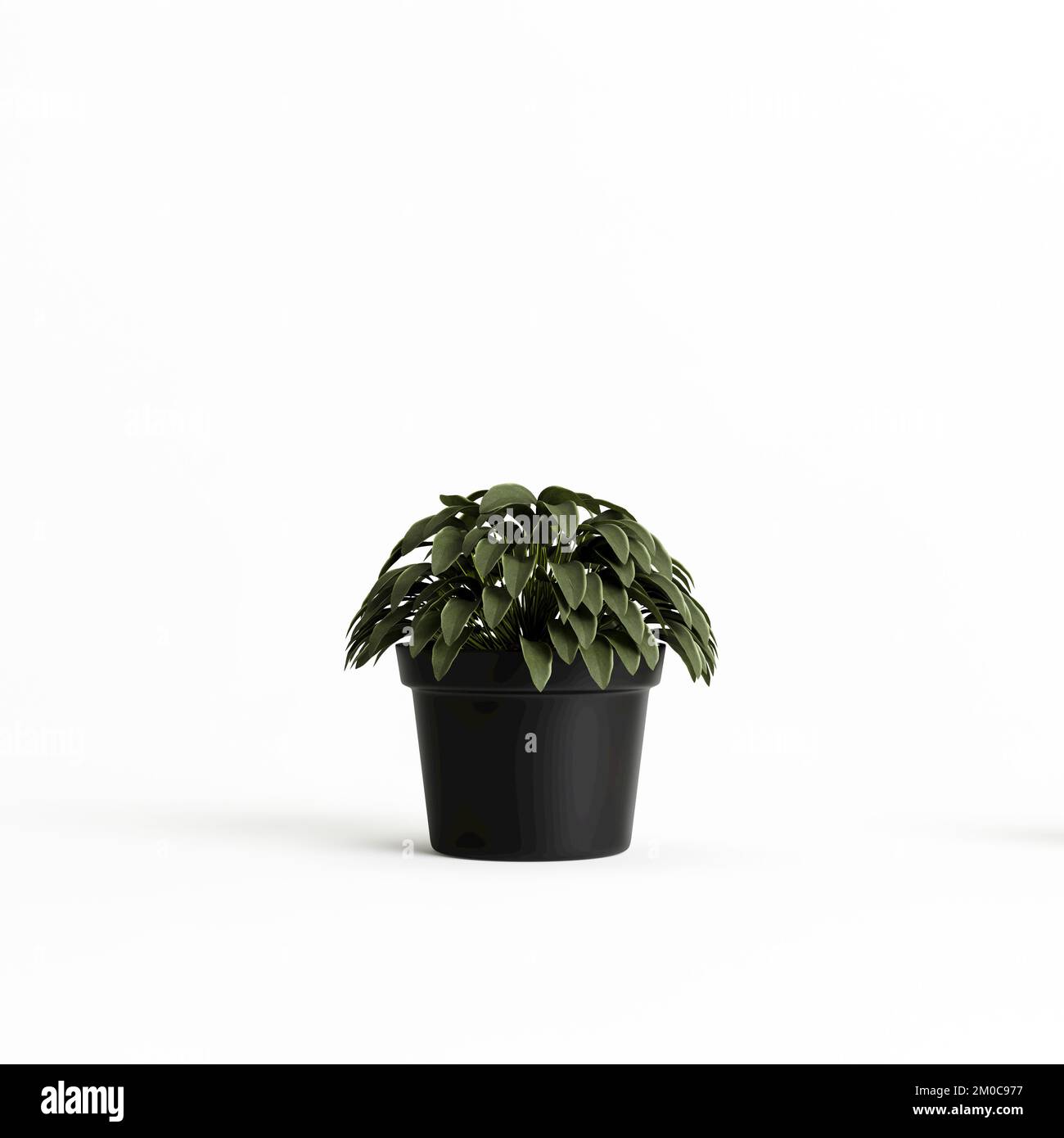 3d illustration of potted plant isolated on white background Stock ...