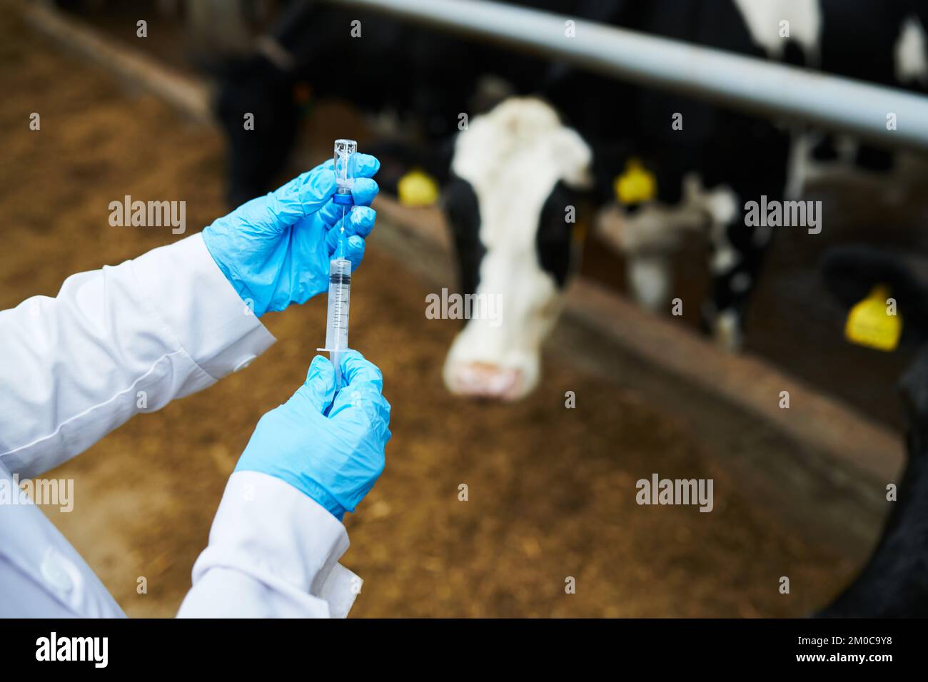 Above angle of gloved hands of healthcare worker in labcoat filling in ...