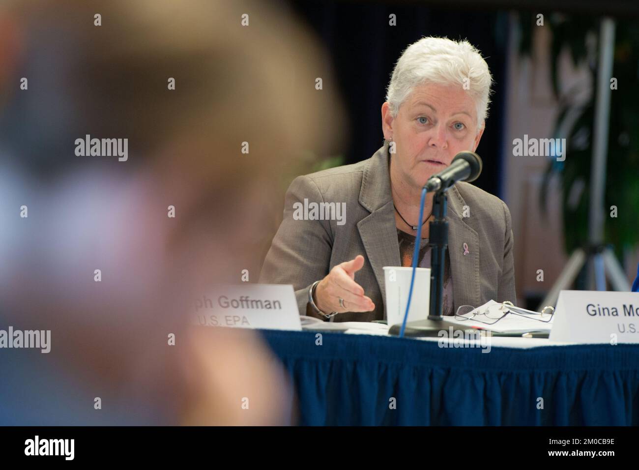 Office of the Administrator - Carbon Emission Standards , Environmental ...