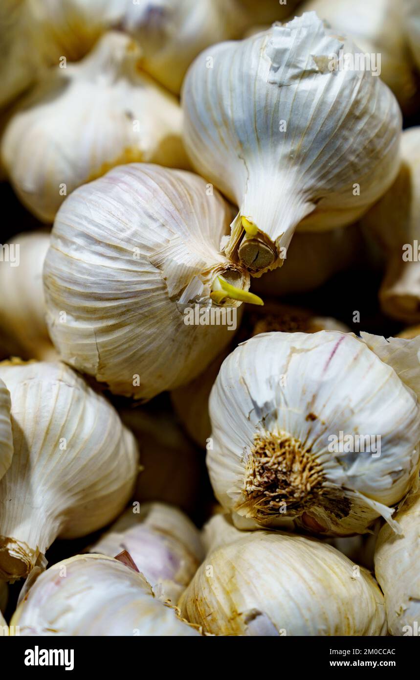Garlic at market hi-res stock photography and images - Alamy