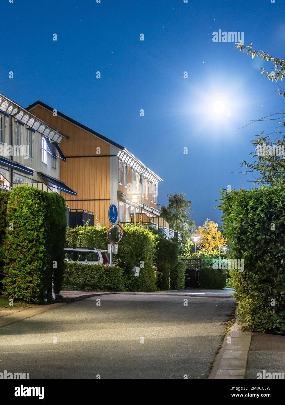 Suburban street in moonlight on a summer night Stock Photo - Alamy