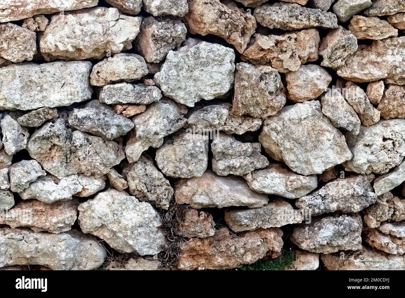 Buff coloured background hi-res stock photography and images - Alamy