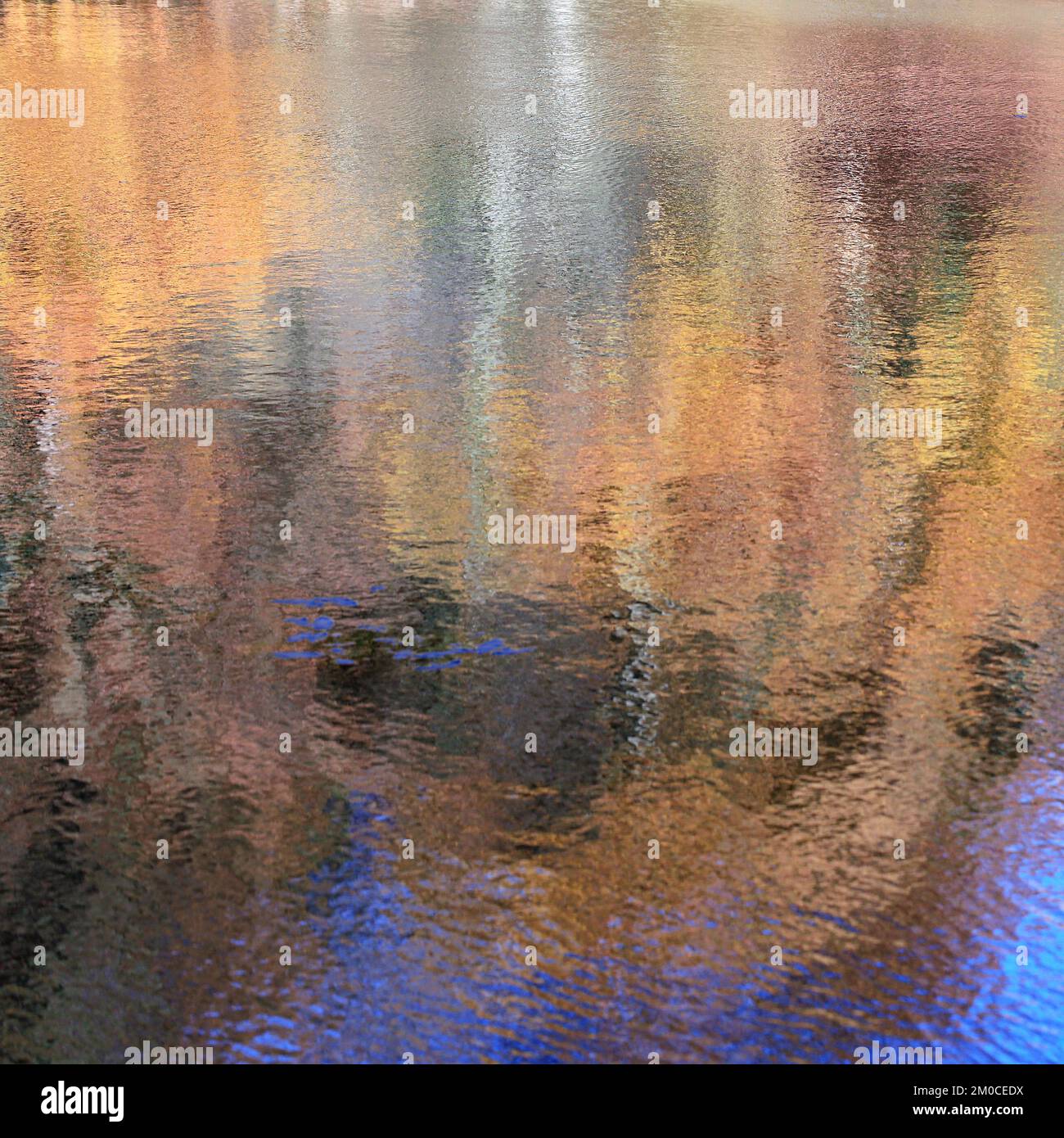 Shape and form in nature hi-res stock photography and images - Alamy