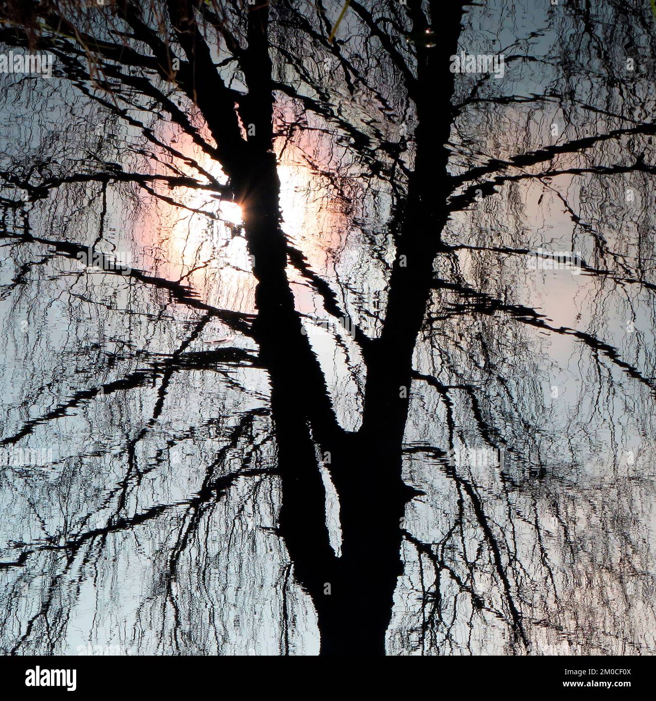 Misty early morning on the Trent and Mersey canal a British Waterways ...