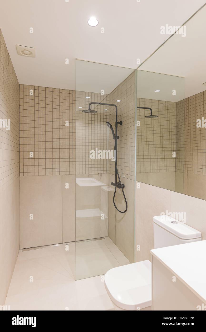 Modern minimalist bathroom with shower zone, rain head, hand held ...