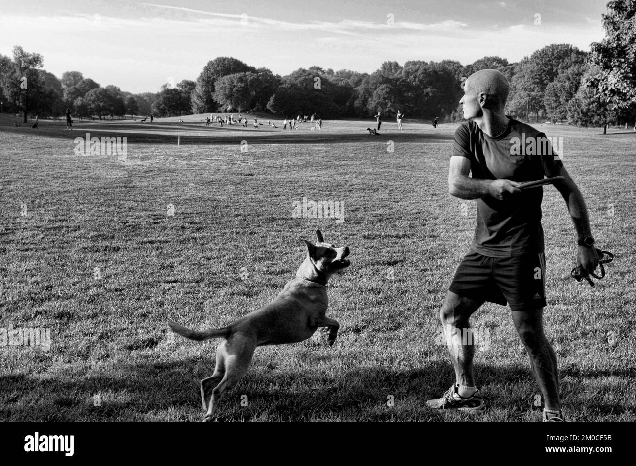 People walking in park america Black and White Stock Photos & Images ...