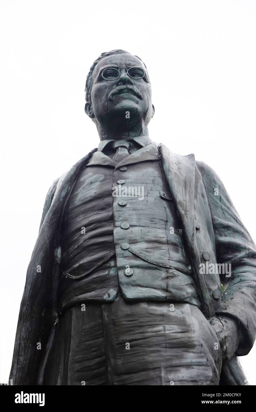 Theodore Roosevelt Inaugural National Historic site in Buffalo NY Stock ...