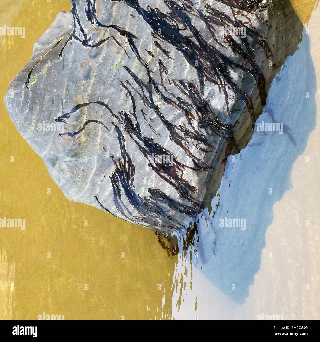 Abstract colour photograph using in camera multiple exposures selective ...