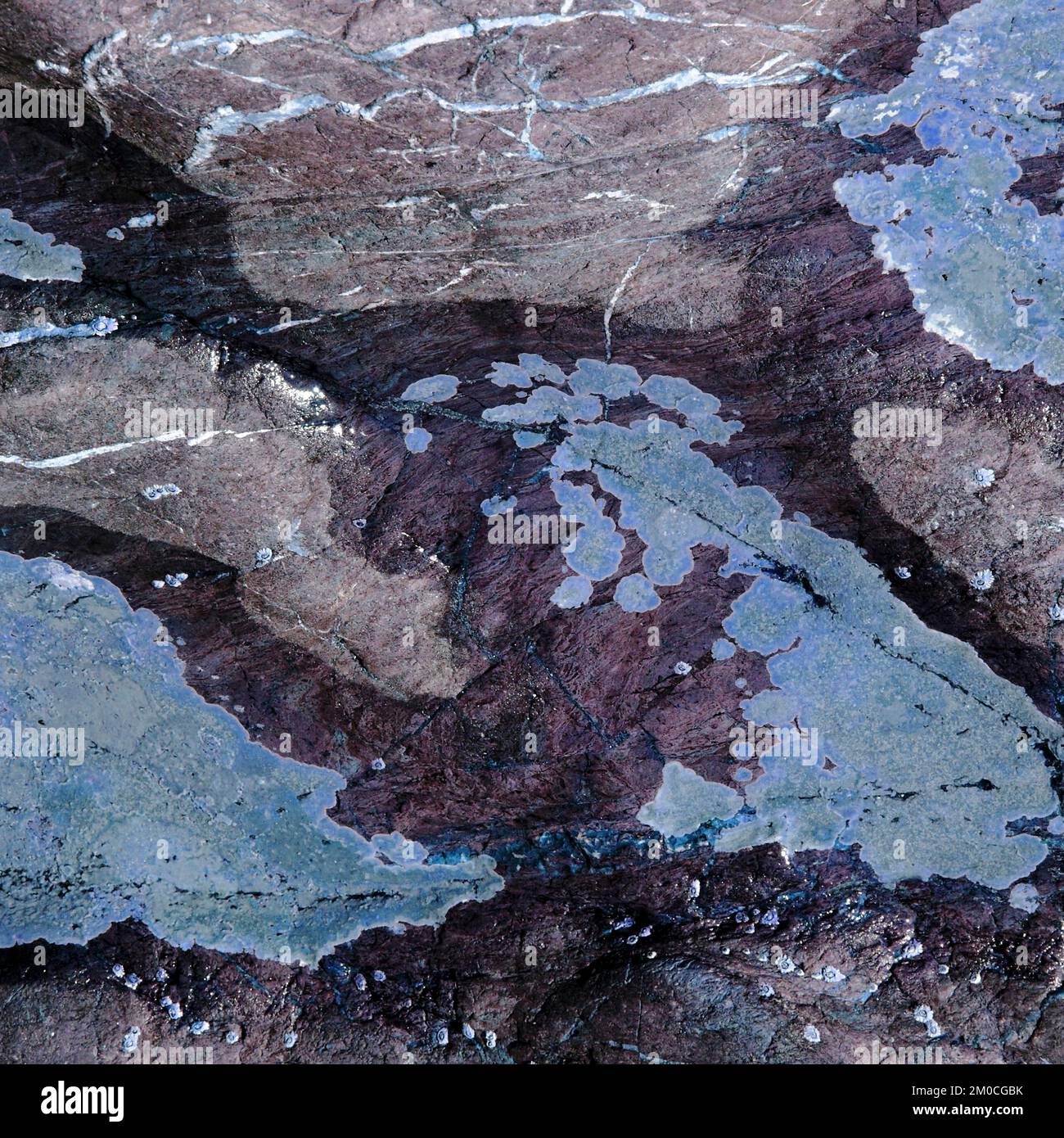 Abstract colour photograph of coastal rock the image is a colour ...