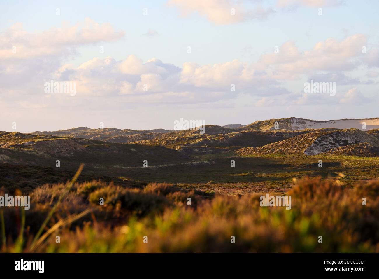 Beautiful Impressions of the island Sylt in Germany Stock Photo - Alamy