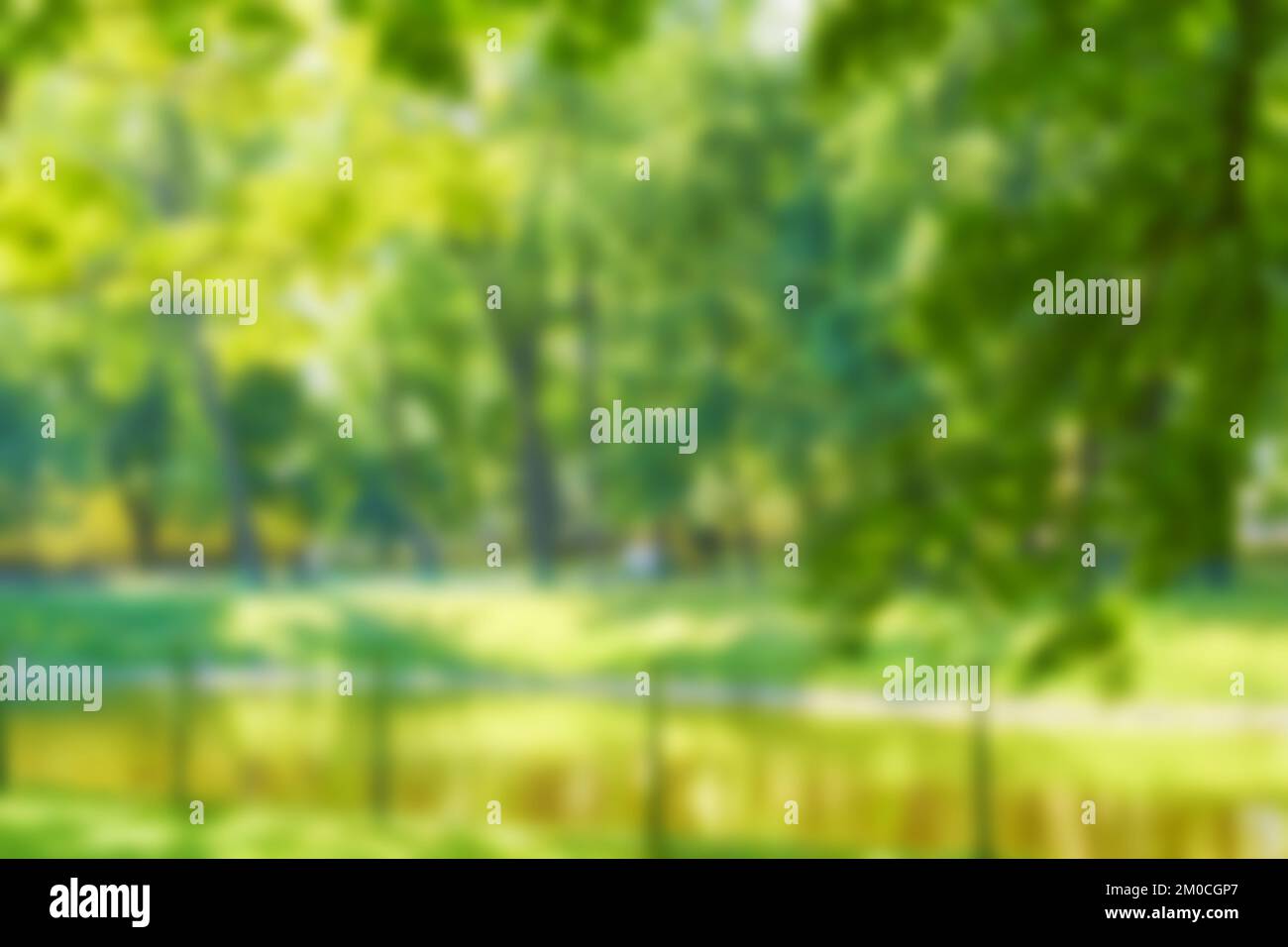 Blur natural and light background in the park. Bokeh light yellow green ...