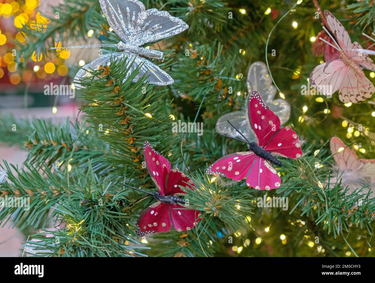 Christmas tree butterflies hi-res stock photography and images - Alamy