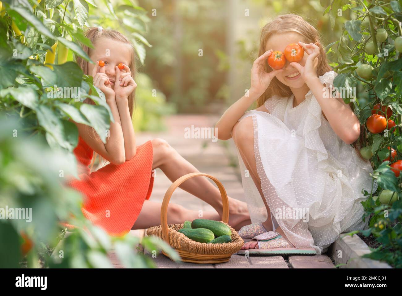 Adorable girls having fun in greenhouse. Portrait of kid with basket ...