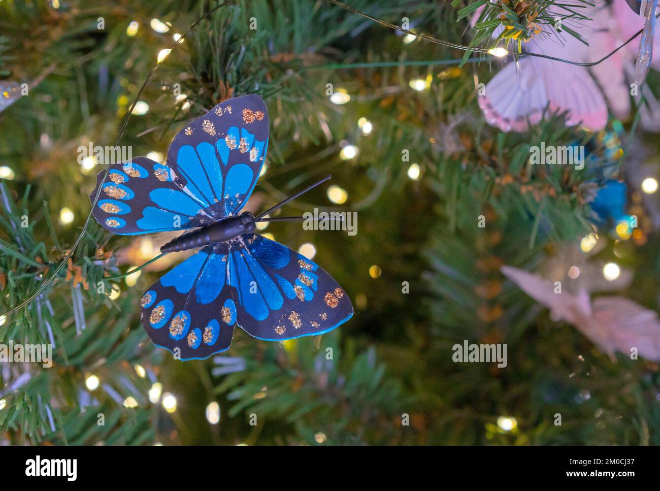 Blue butterfly with golden sparkles on the Christmas tree with a ...