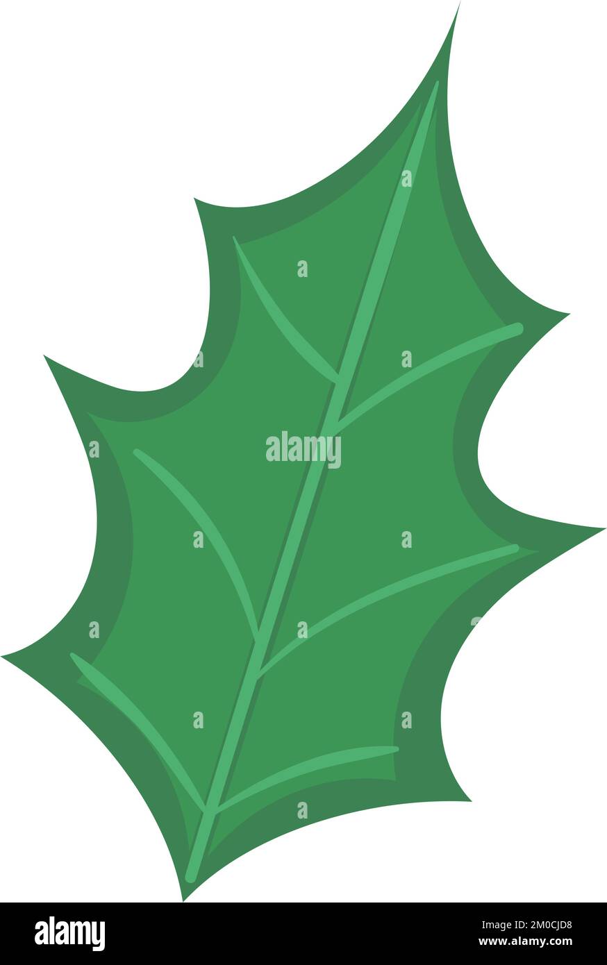 Isolated detailed colored holly leaf Vector Stock Vector Image & Art ...