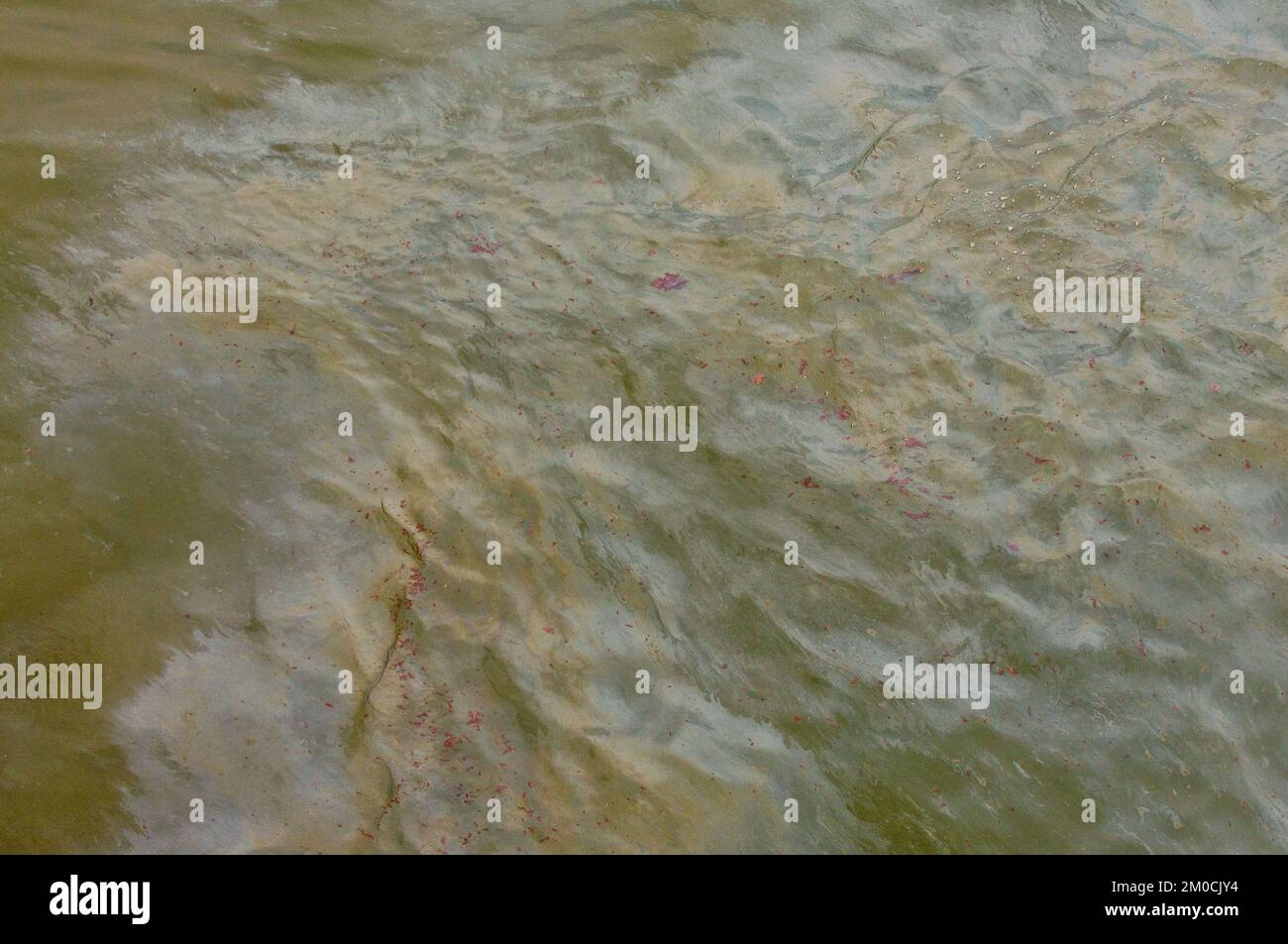 Office of the Administrator (Lisa P. Jackson) - Grand Isle (BP Oil ...