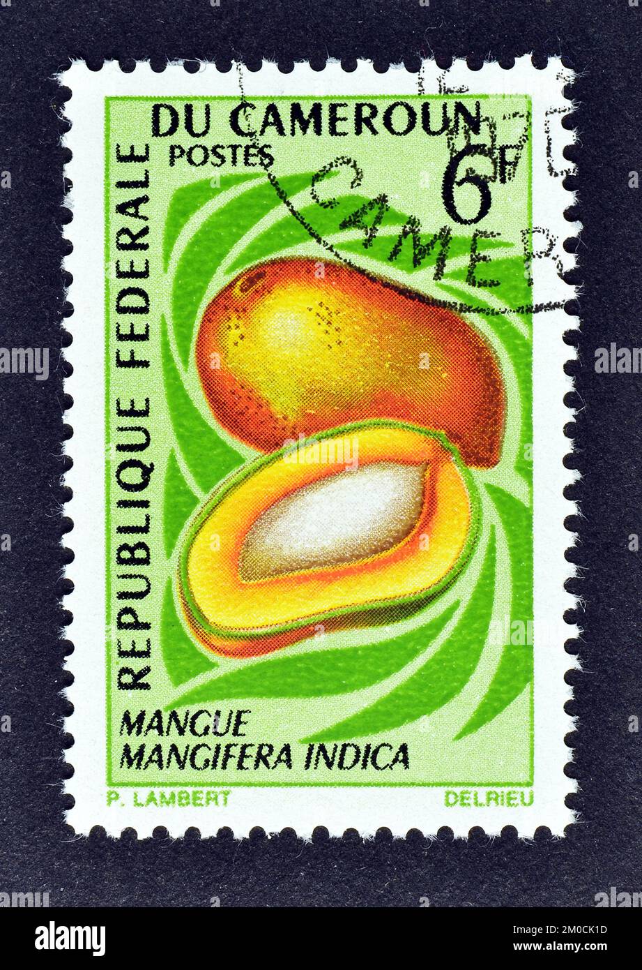 Cancelled postage stamp printed by Cameroon, that shows Mango ...