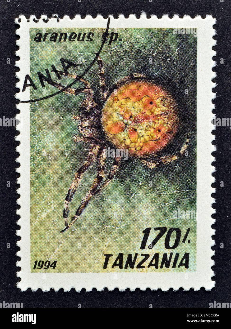 cancelled postage stamp printed by Tanzania, that shows Araneus spider ...