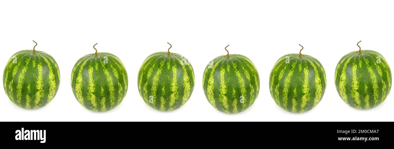 Round appetizing watermelons isolated on white background. Panoramic ...