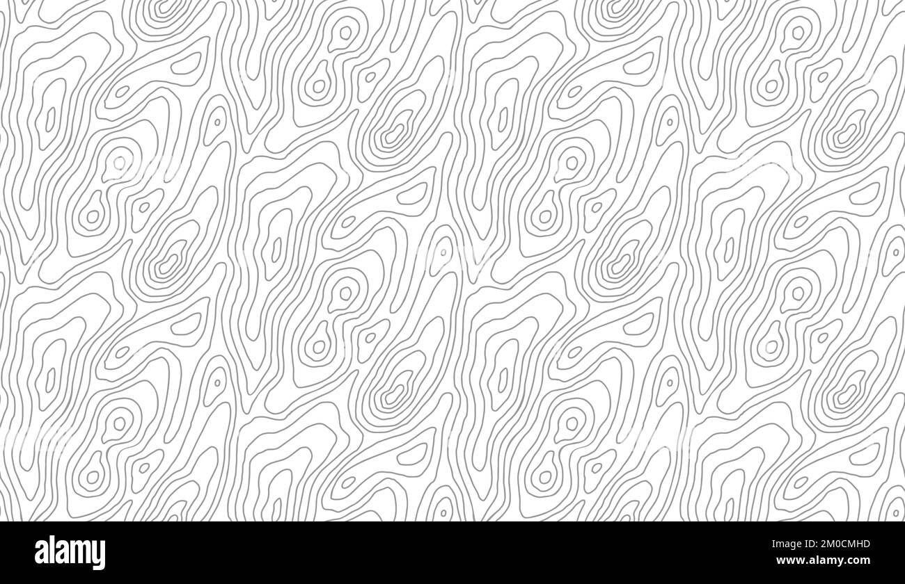 Topographic map contour background. Topo map with elevation. Contour ...