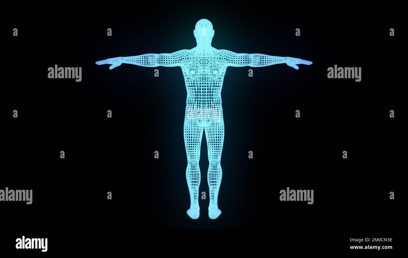 Man body wireframe. Computer generated 3d render Stock Photo - Alamy