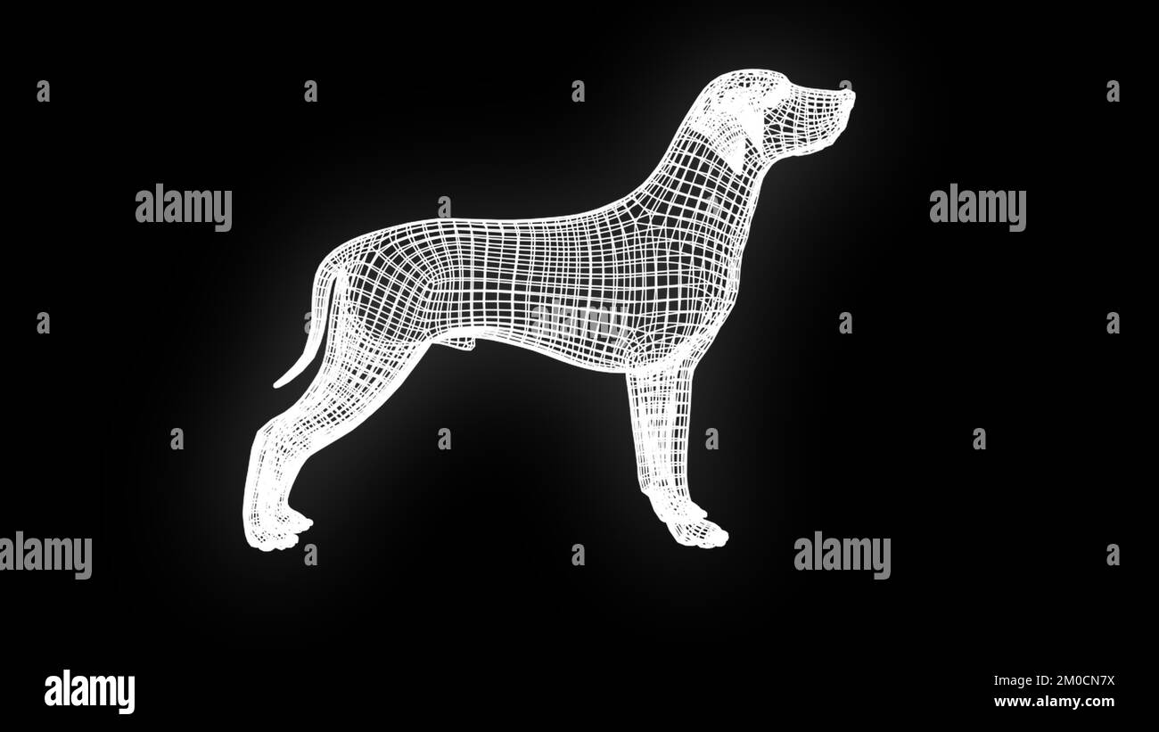 Dog wireframe. Computer generated 3d render Stock Photo - Alamy
