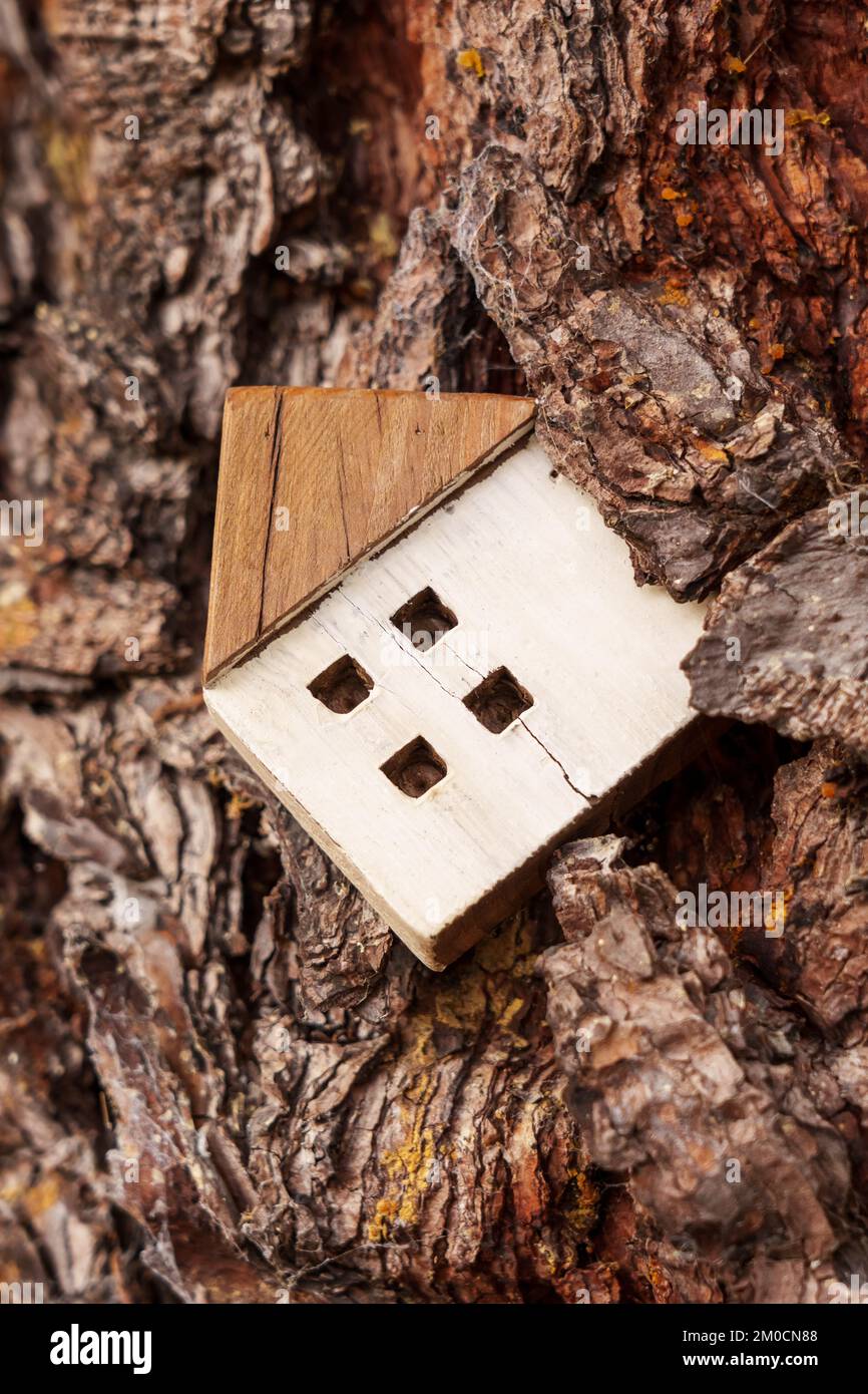 Wooden house model on the bark of a forest tree in nature. Home eco ...