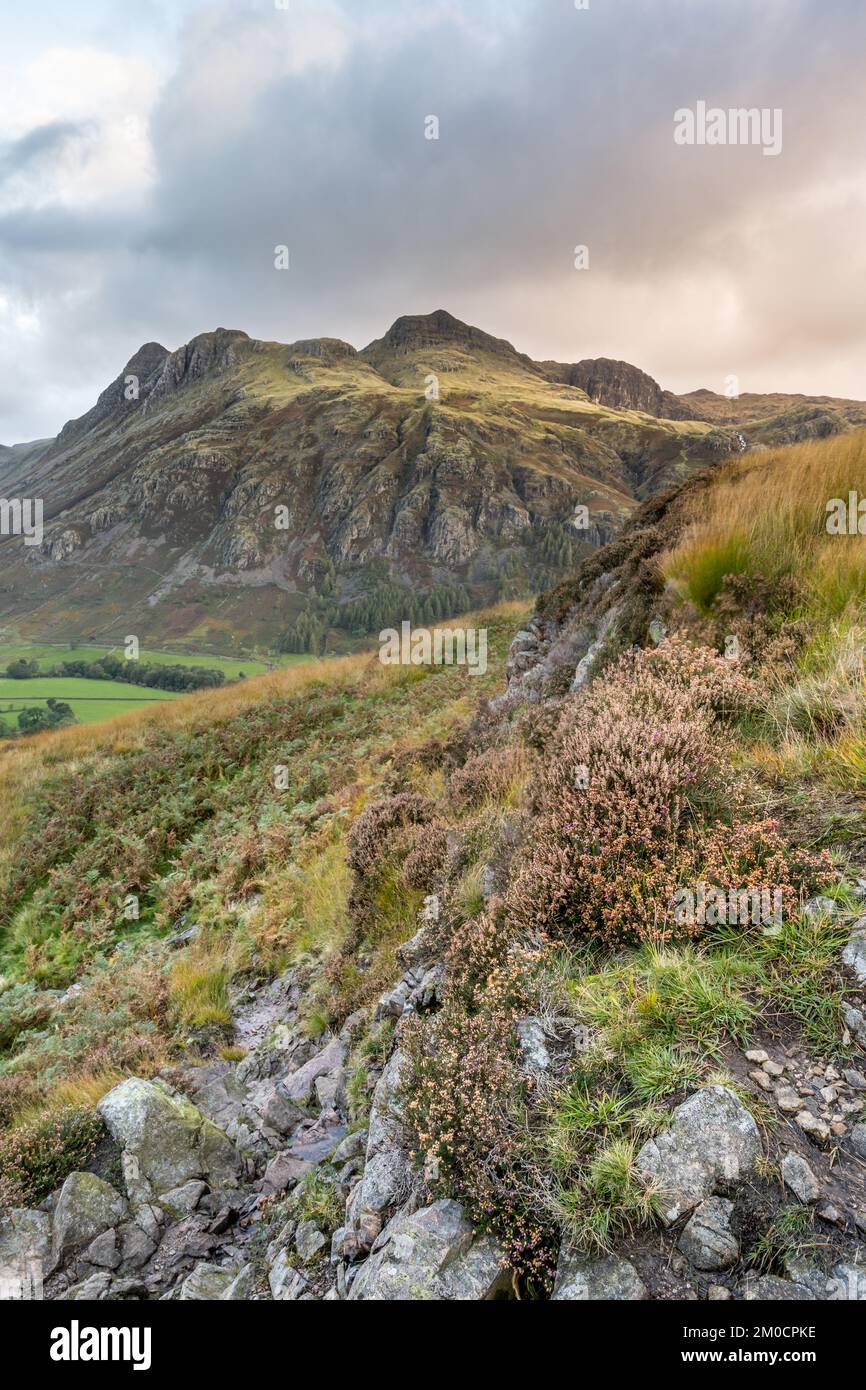 Looking across Great Langdale to the Langdale Pikes from Side Pike ...