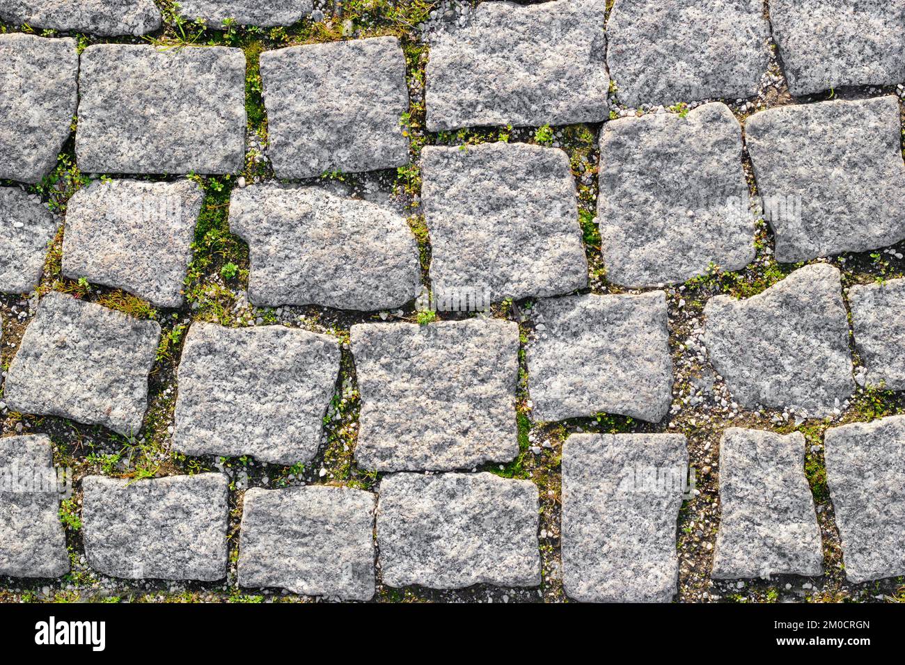 Texture of paved stone road with sprouted grass between masonry. Top ...