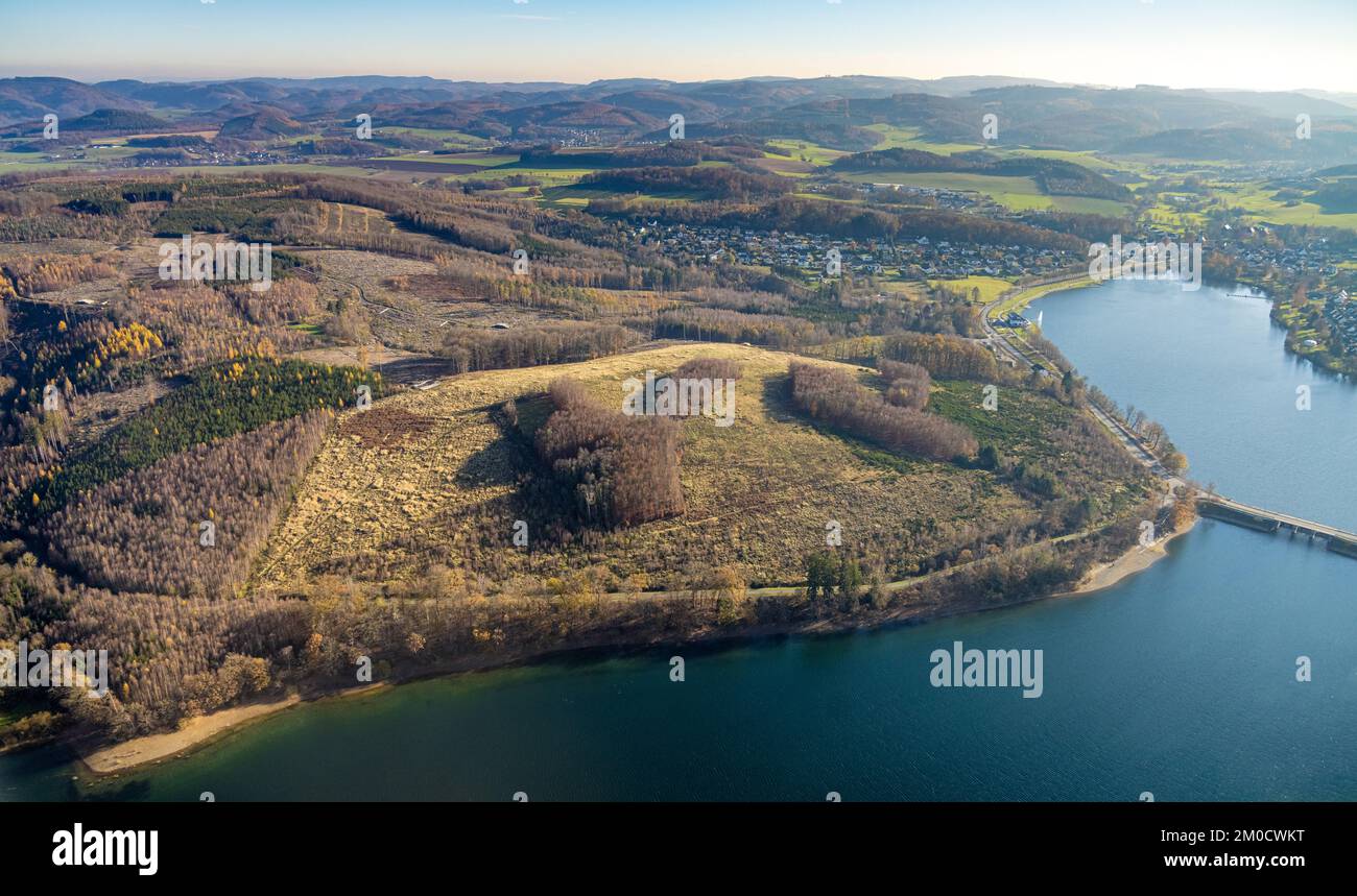 Aerial view, forest area with forest damage at Sorpesee in the district ...