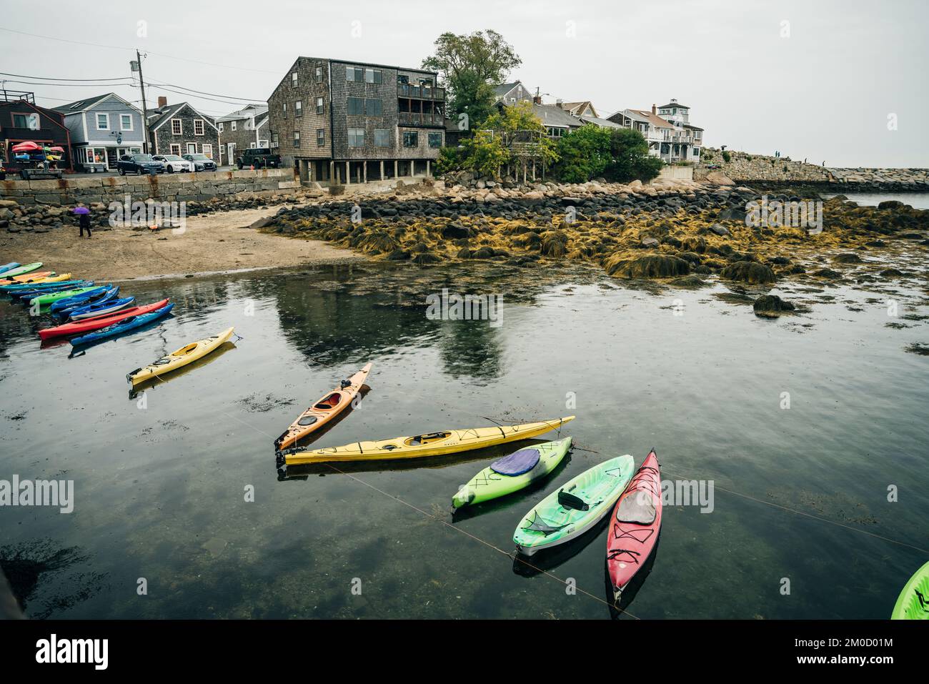 Dogtown massachusetts tourists hi-res stock photography and images - Alamy