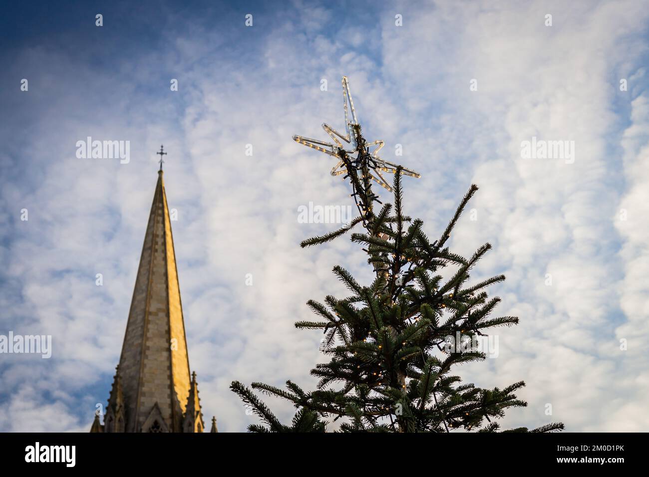 A Christmas scene of a Christmas tree with a Church spire in the ...