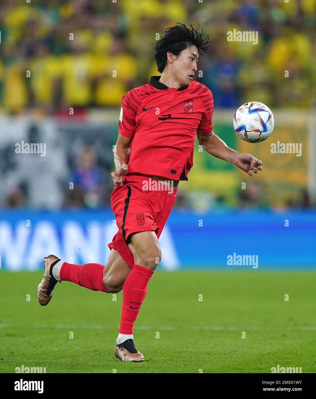 South Korea's Cho Gue-sung during the FIFA World Cup Round of Sixteen ...