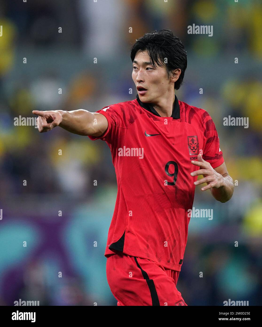 South Korea's Cho Gue-sung during the FIFA World Cup Round of Sixteen ...