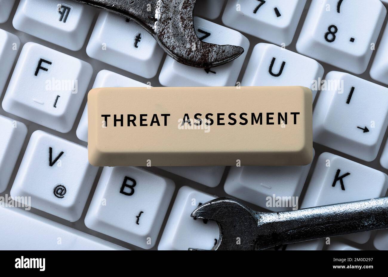 Text sign showing Threat Assessment, Business showcase determining the ...