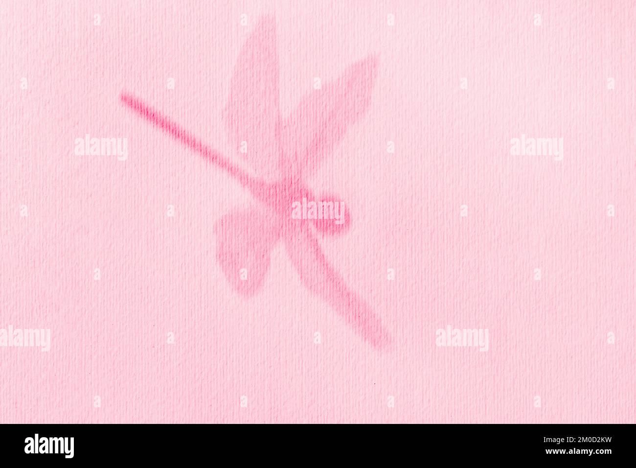 Dragonfly in flight close-up, shadow on wall toned into Viva Magenta ...