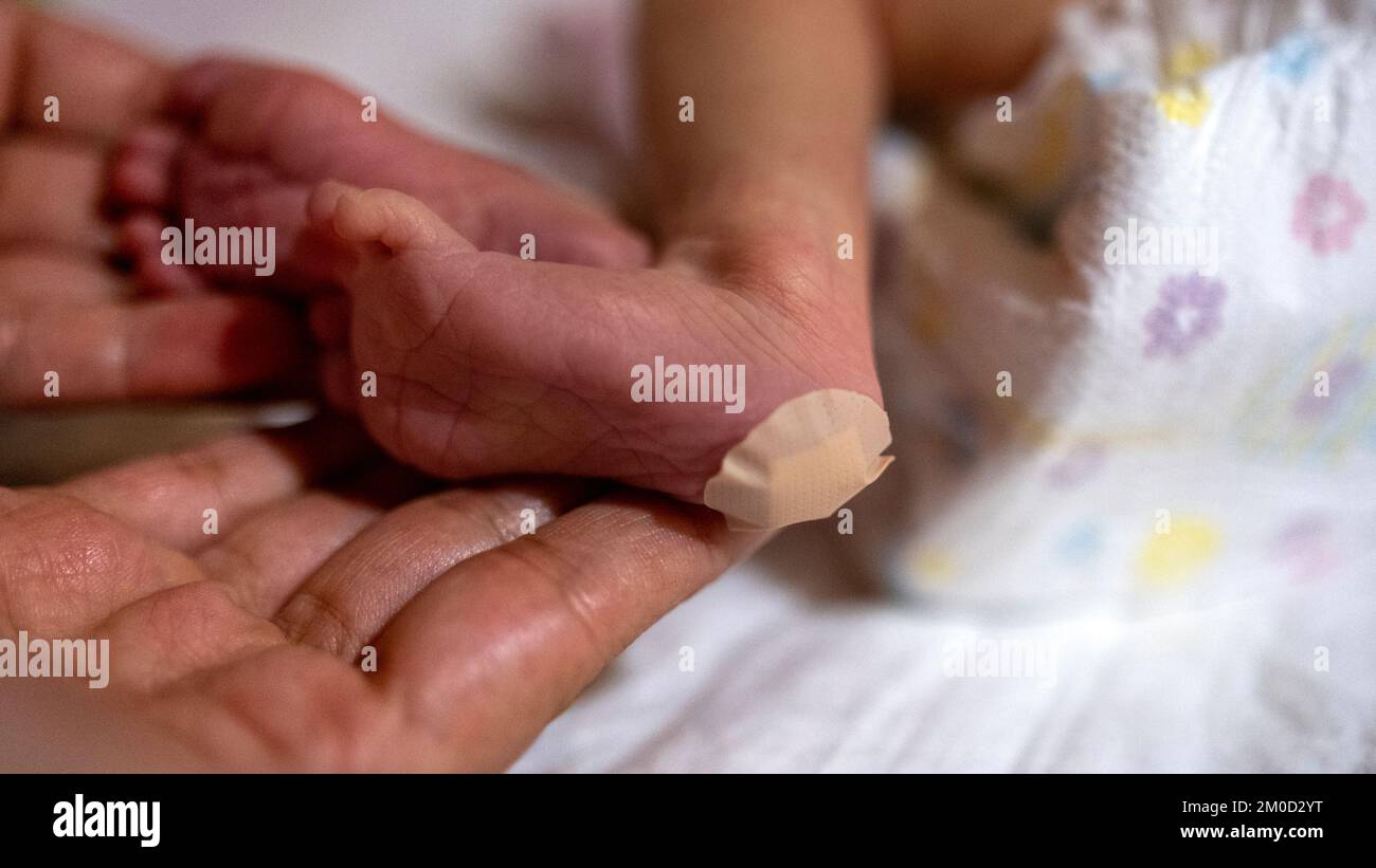 Newborn heel prick test and lood puncture, Taking a Heel Blood Sample ...