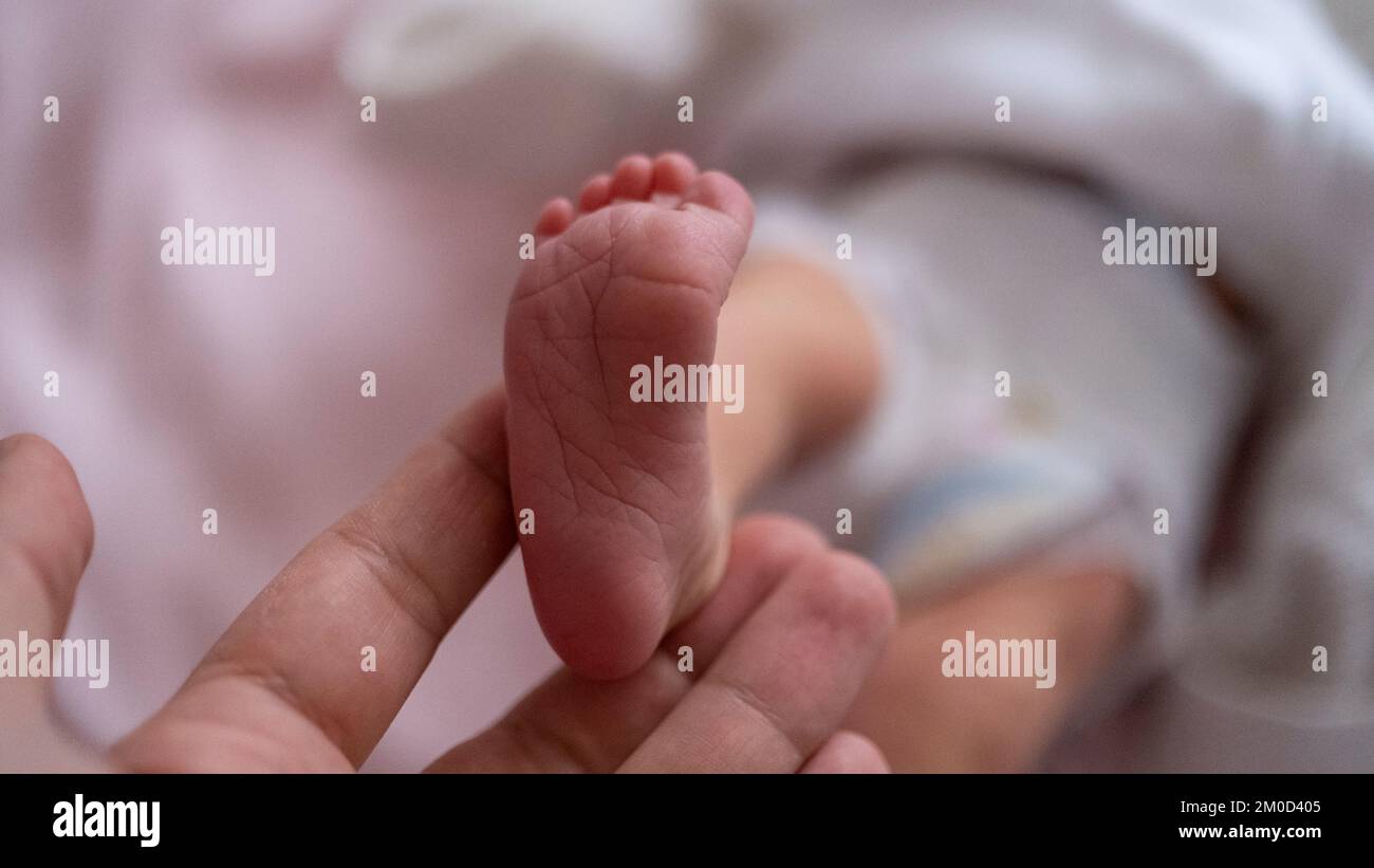 Newborn heel prick test and lood puncture, Taking a Heel Blood Sample ...