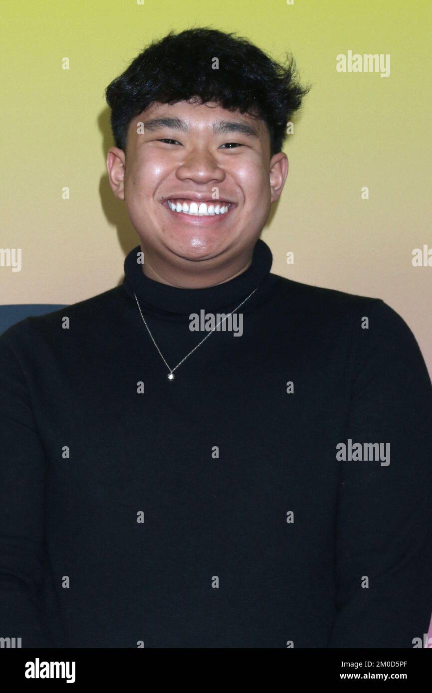 LOS ANGELES - DEC 4: Sean Sotaridona at the 2022 Streamy Awards at ...