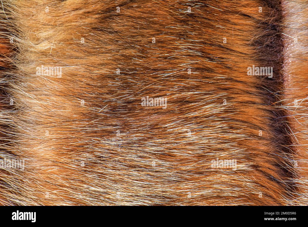Fox fur close up. Redhead animal fur background, fur pile texture Stock ...