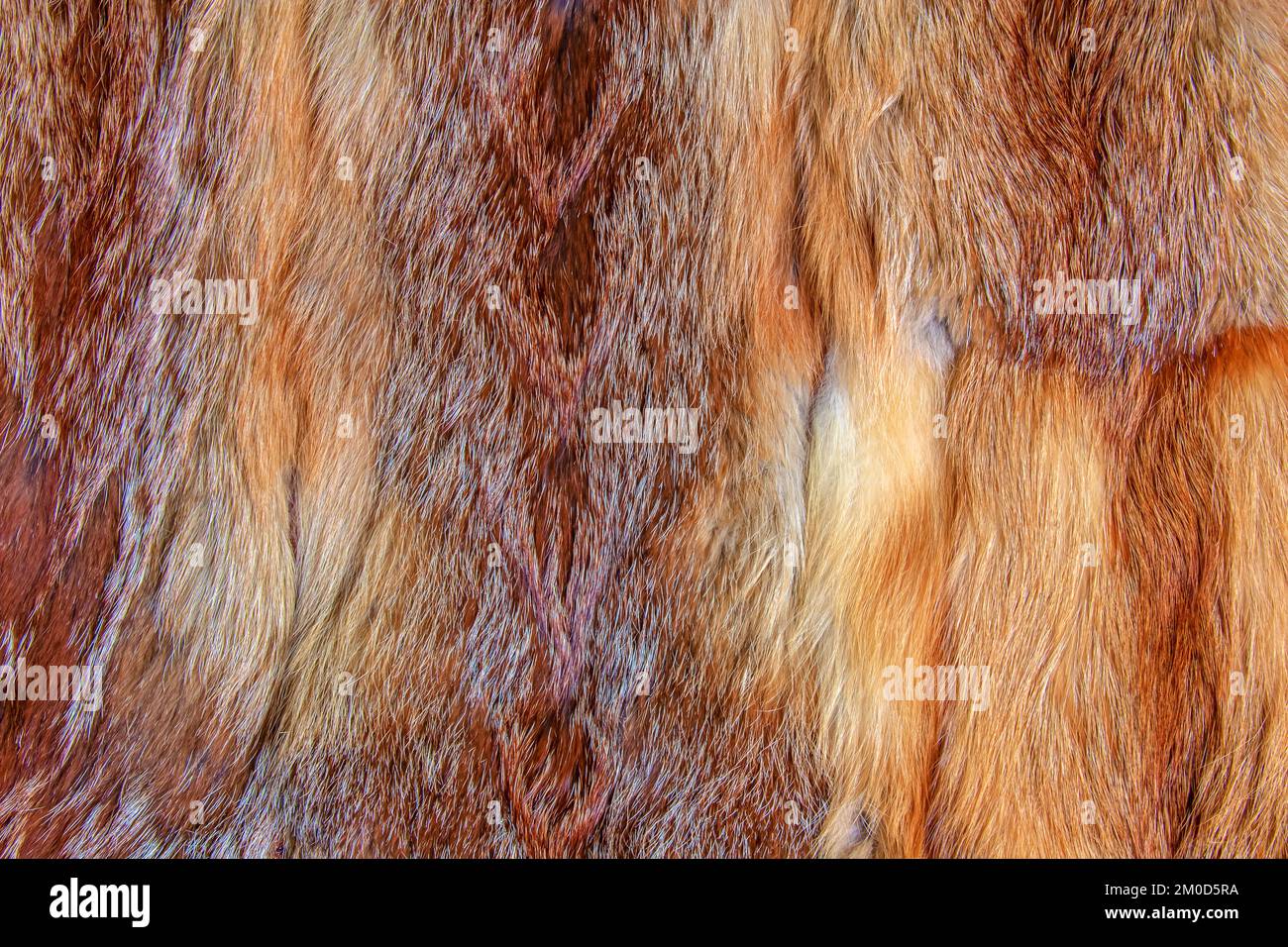 Fox fur close up. Redhead animal fur background, fur pile texture Stock ...