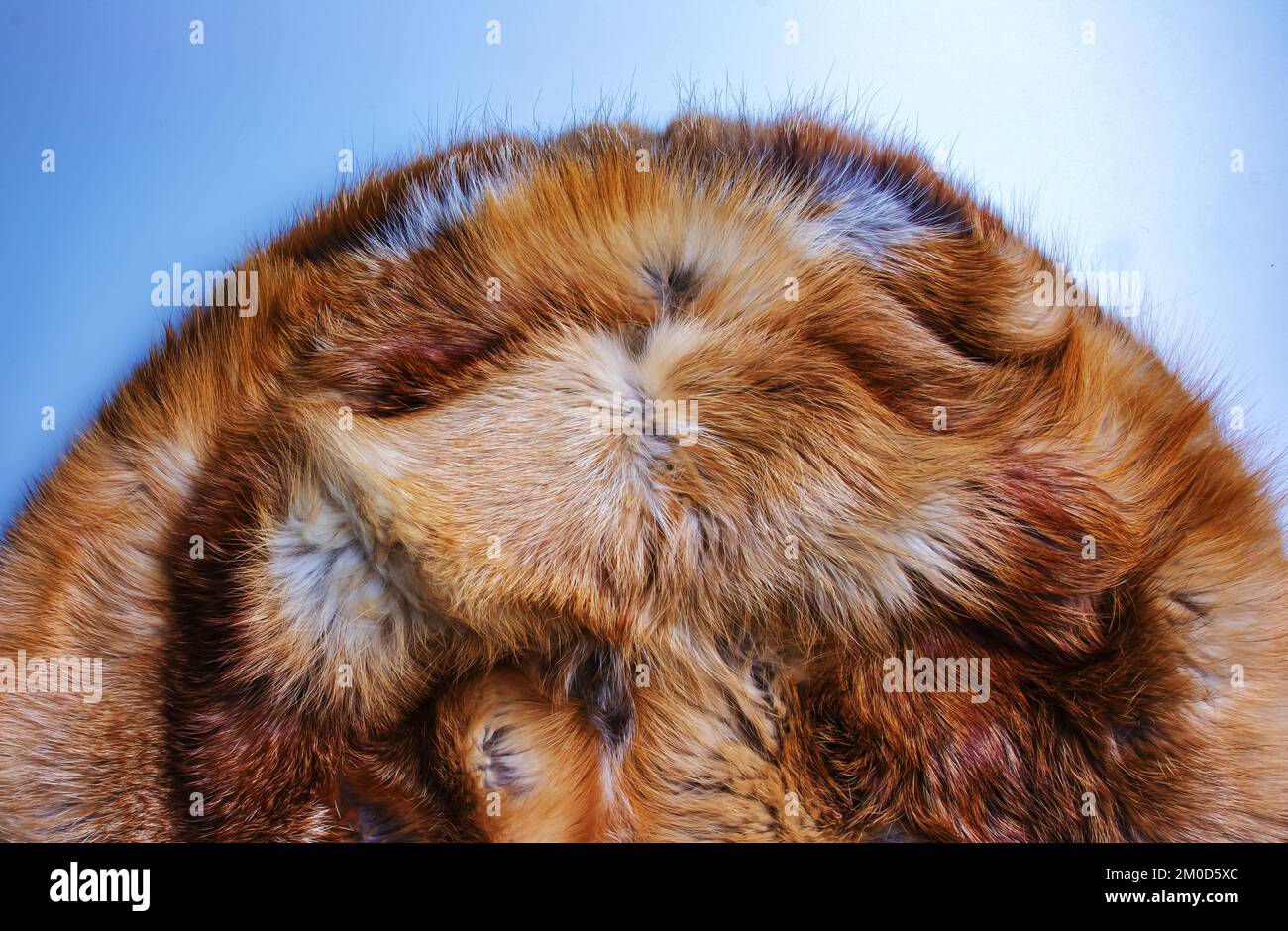 Fox fur close up. Redhead animal fur background, fur pile texture Stock ...